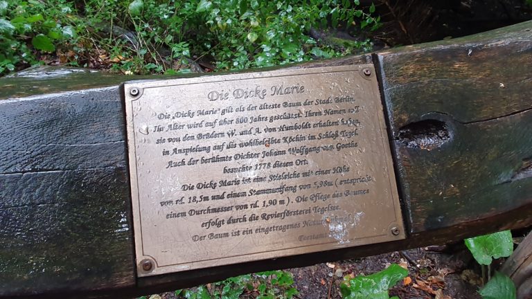 Dicke Marie – Berlin affin